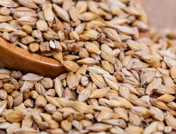 Malta de cebada Stock Photos, Royalty Free Malta de cebada Images ...