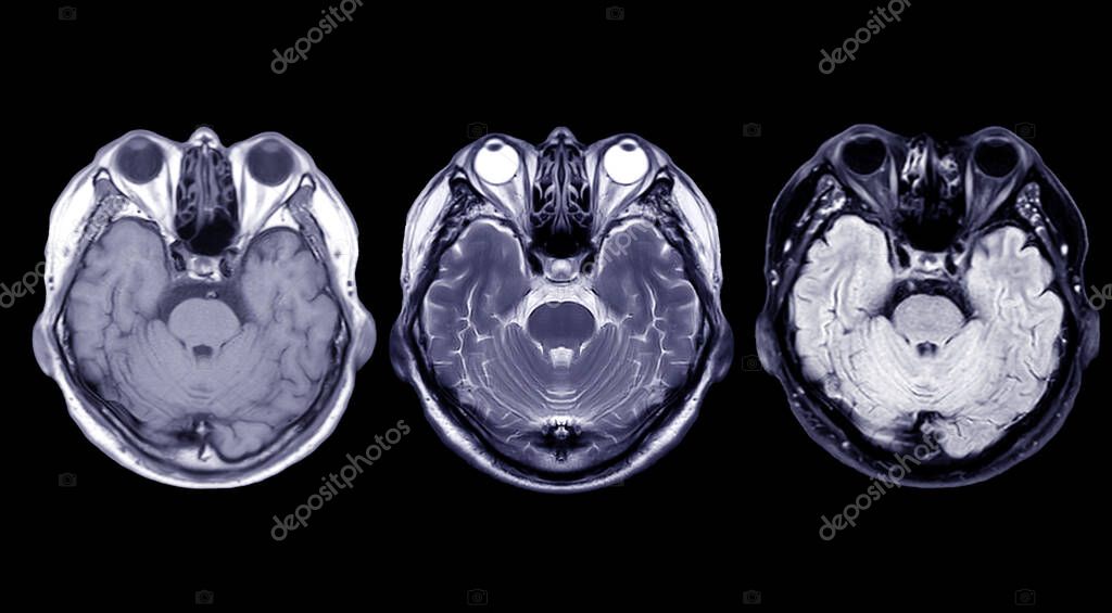 Clave T1 Importacion Discounted Shop | oasp.transportation.ohio.gov
