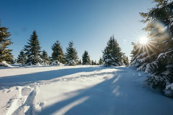 Sunshine over snow Stock Photos, Royalty Free Sunshine over snow Images ...
