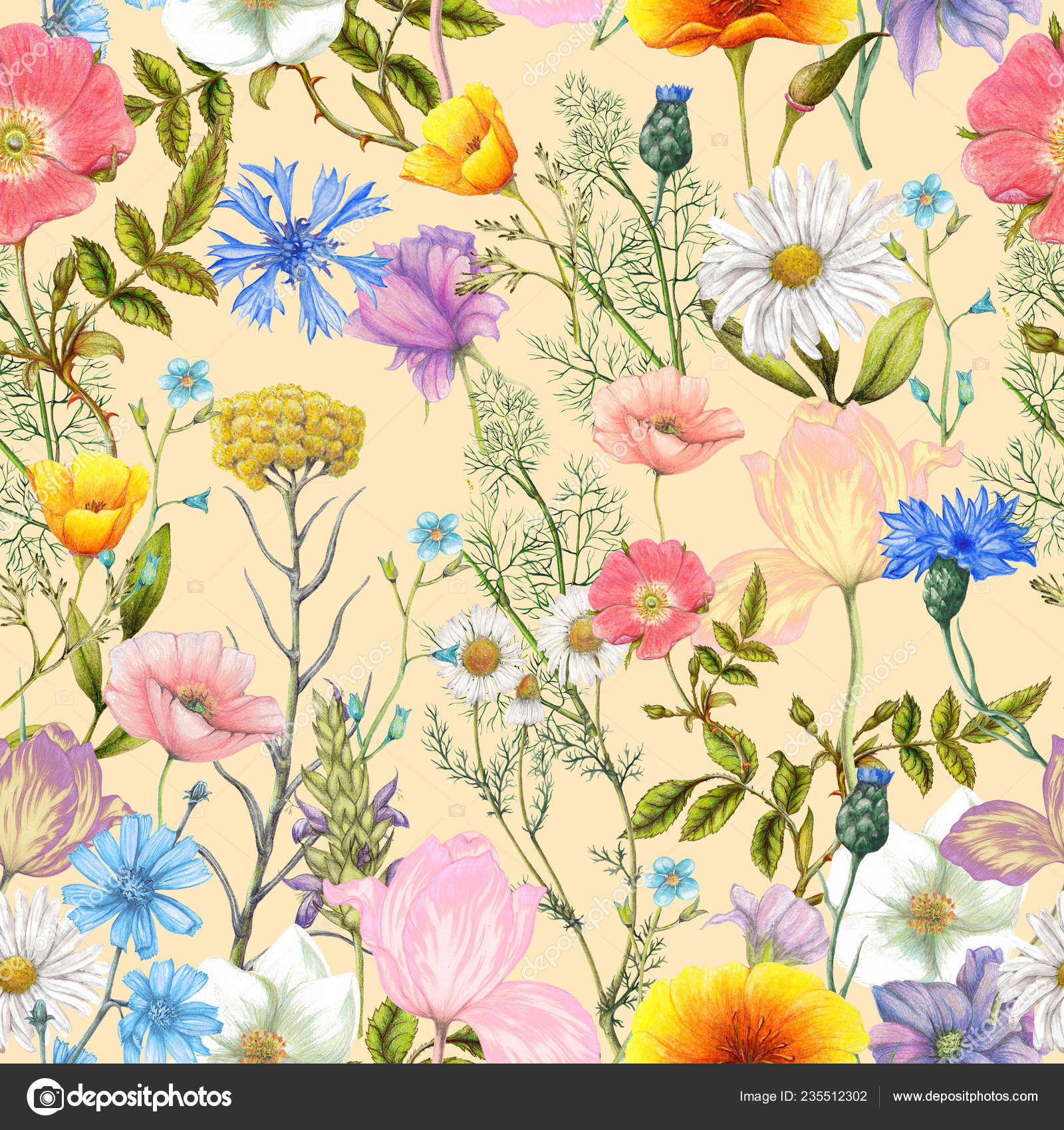 Seamless Pattern Summer Wildflowers Stock Photo by ©Arevka 235512302