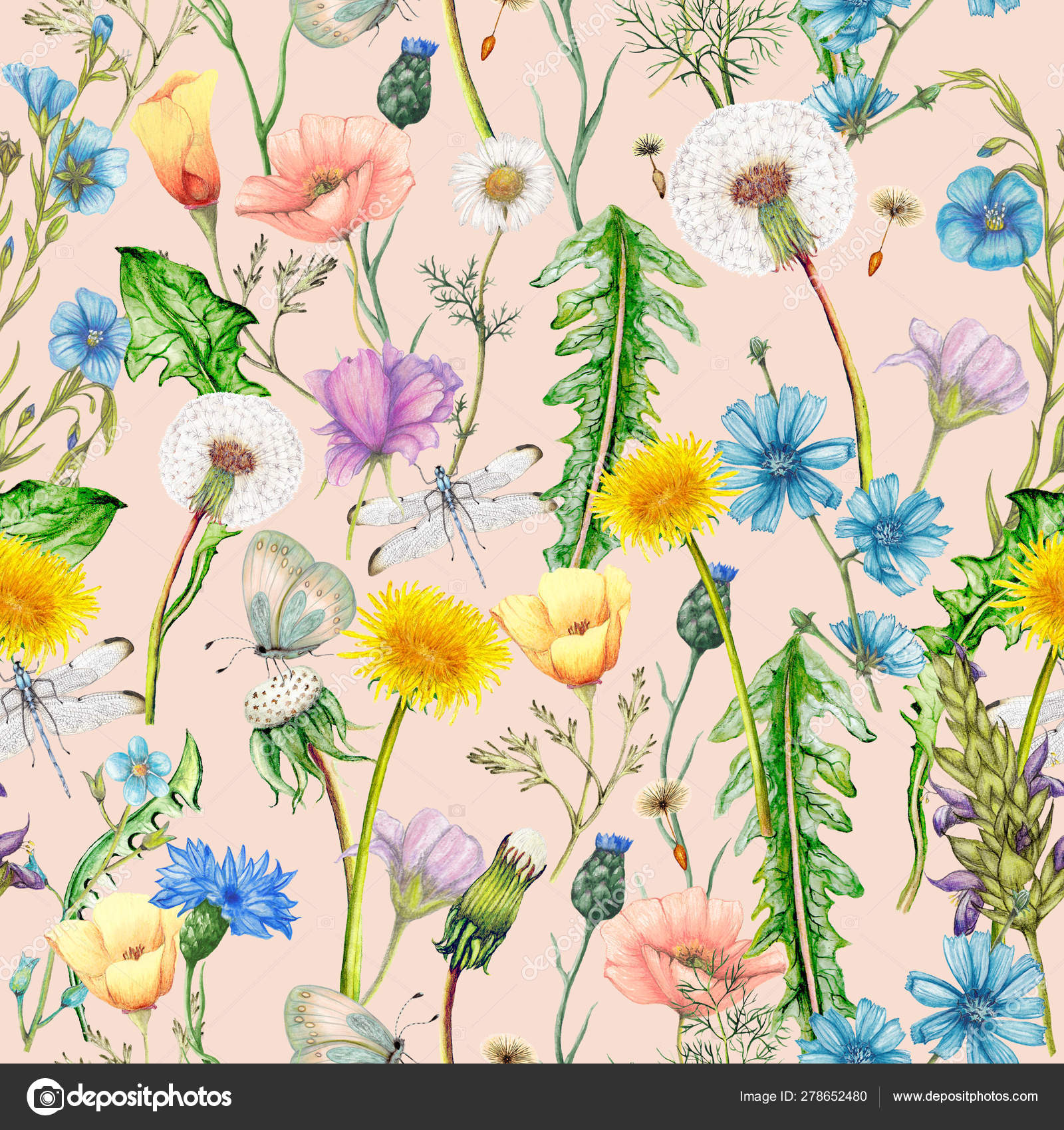 Hand Drawn Botanical Seamless Pattern Garden Wildflowers Plants — Stock ... Hand Drawn Botanical Seamless Pattern Garden Wildflowers Plants — Stock ...