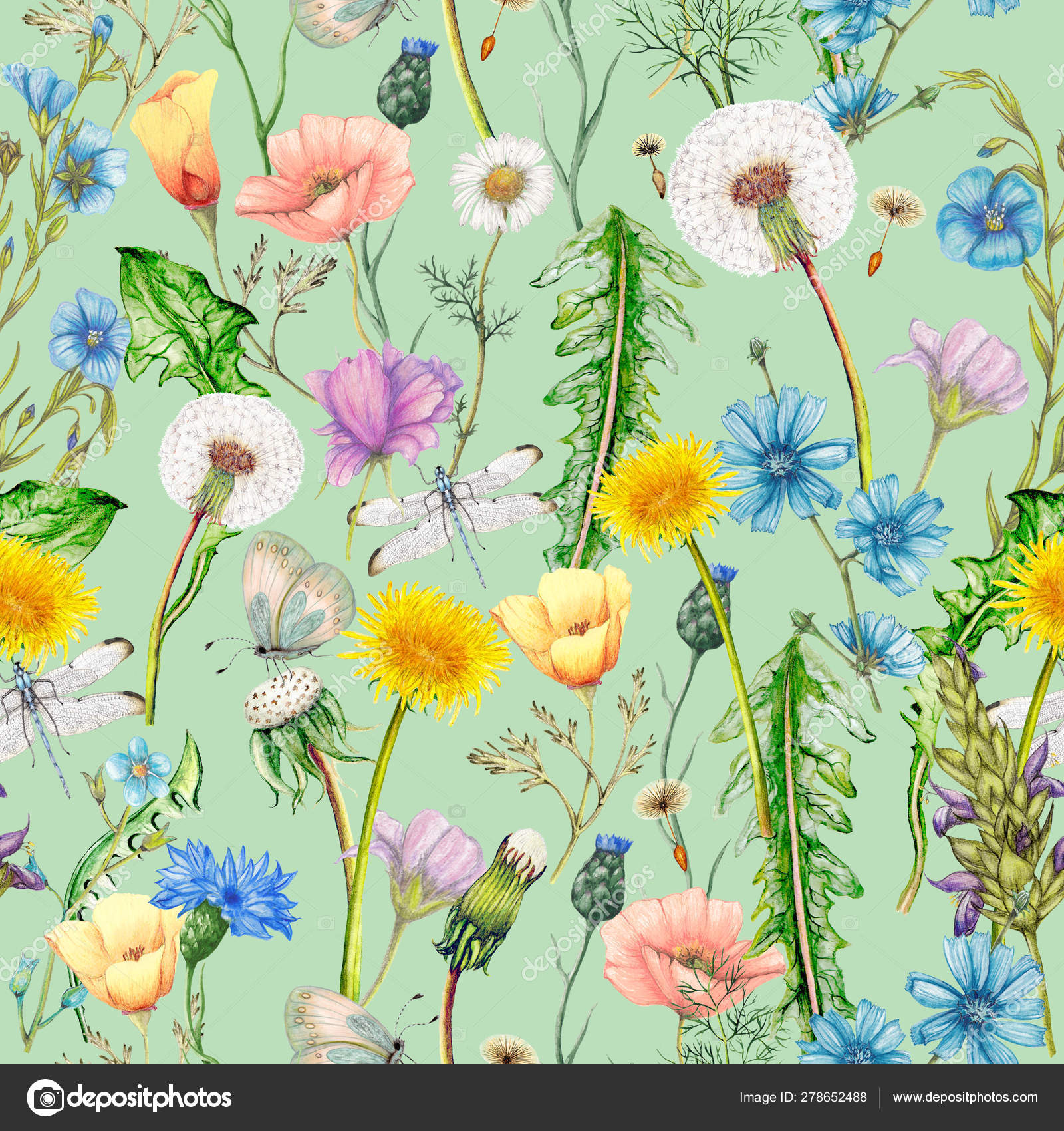 Hand Drawn Botanical Seamless Pattern Garden Wildflowers Plants — Stock ...