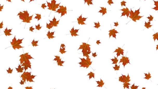 Autumn Falling Leaves Stock Vector Image by ©adamson #4329454