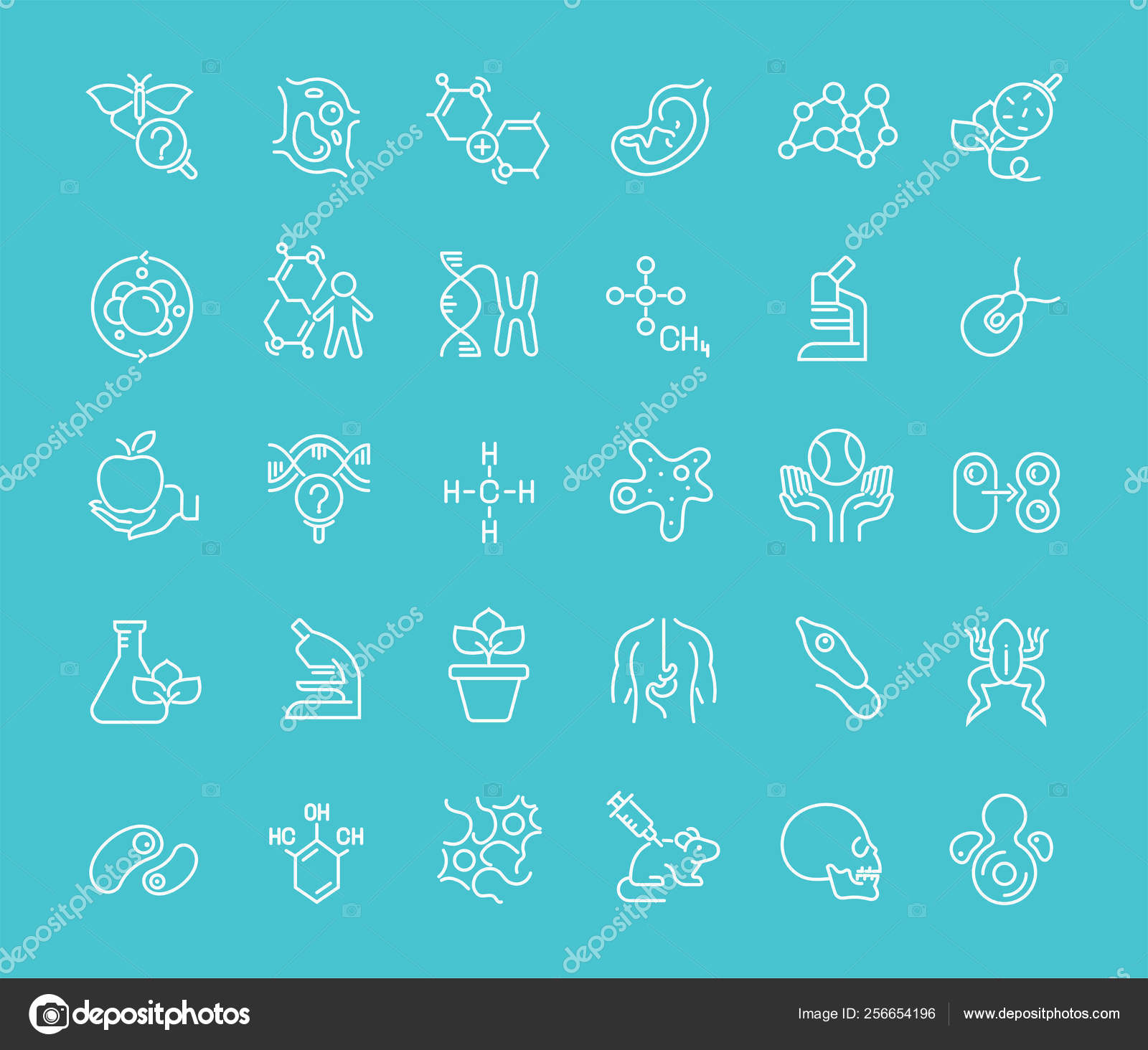 Set of Line Icons of Biology. Stock Vector Image by ©andrei45454 #256654196