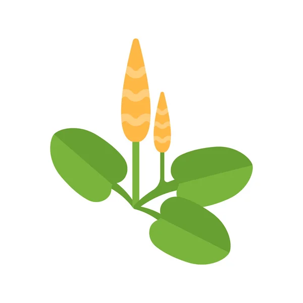 Plantain logo Vector Art Stock Images | Depositphotos