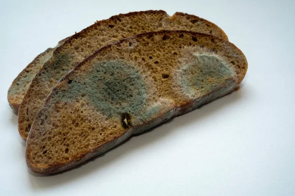 Aspergillus Mold On Bread