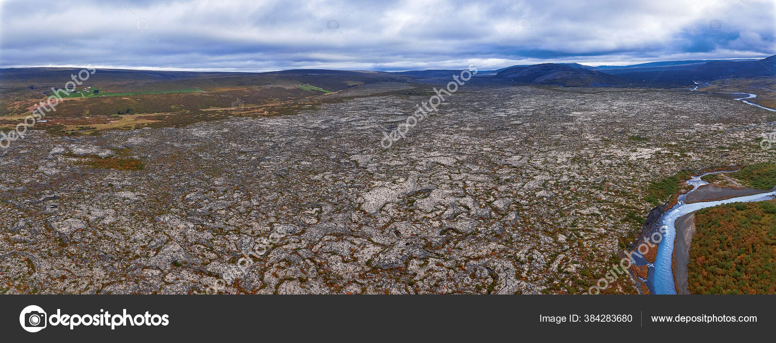 Lava Field Iceland Overgrown Moss Dwarf Trees Iceland Top View — Stock ...