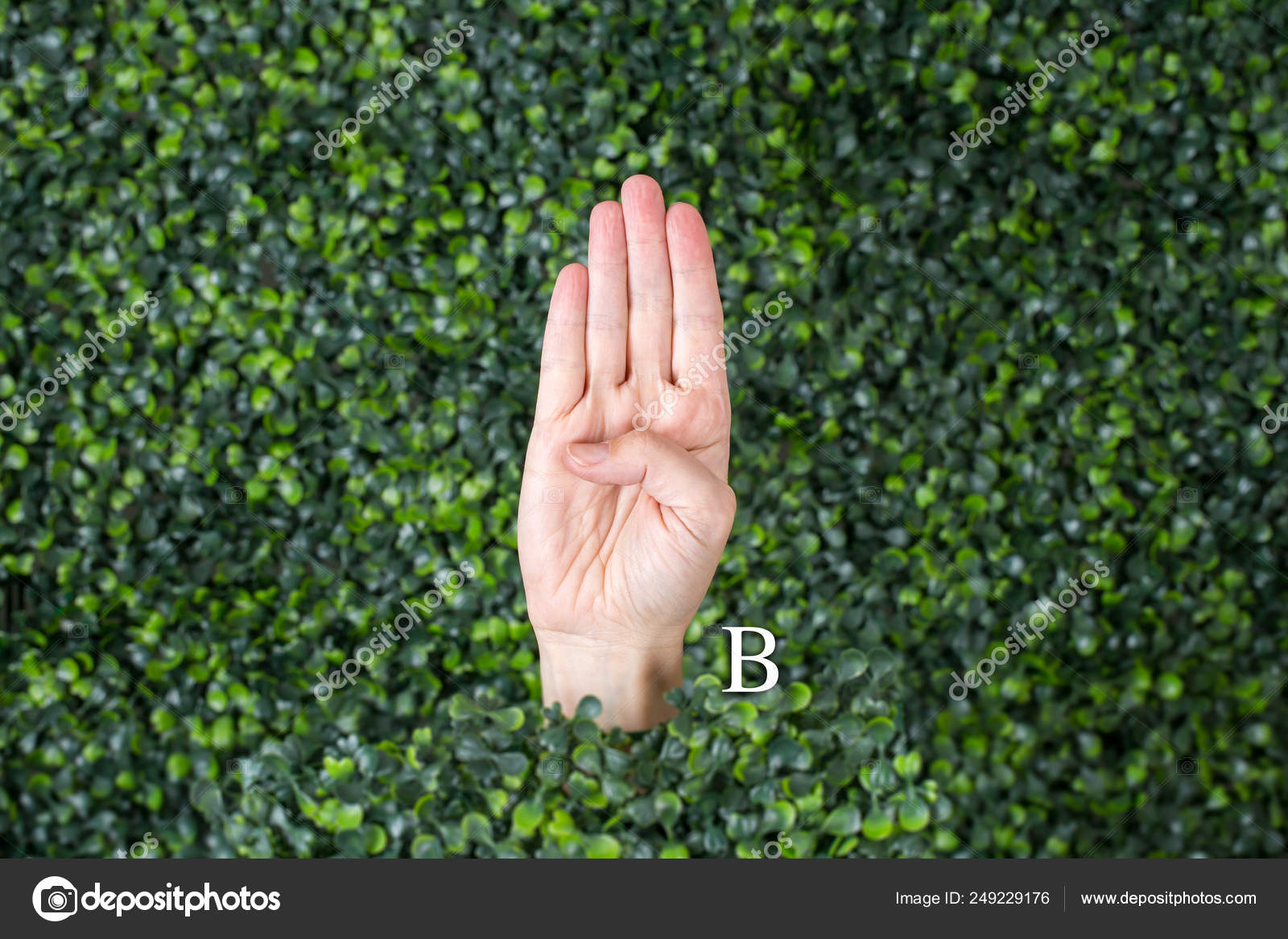 Sign Language Letter B Stock Photo by ©phase4studios 249229176