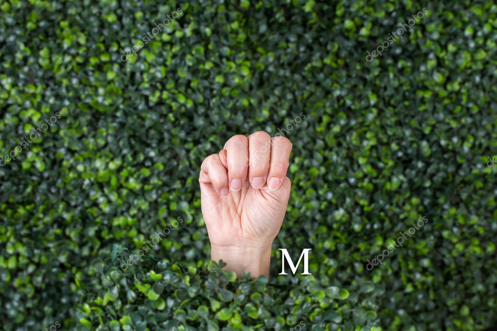 Lengua de signos Letra M 2022