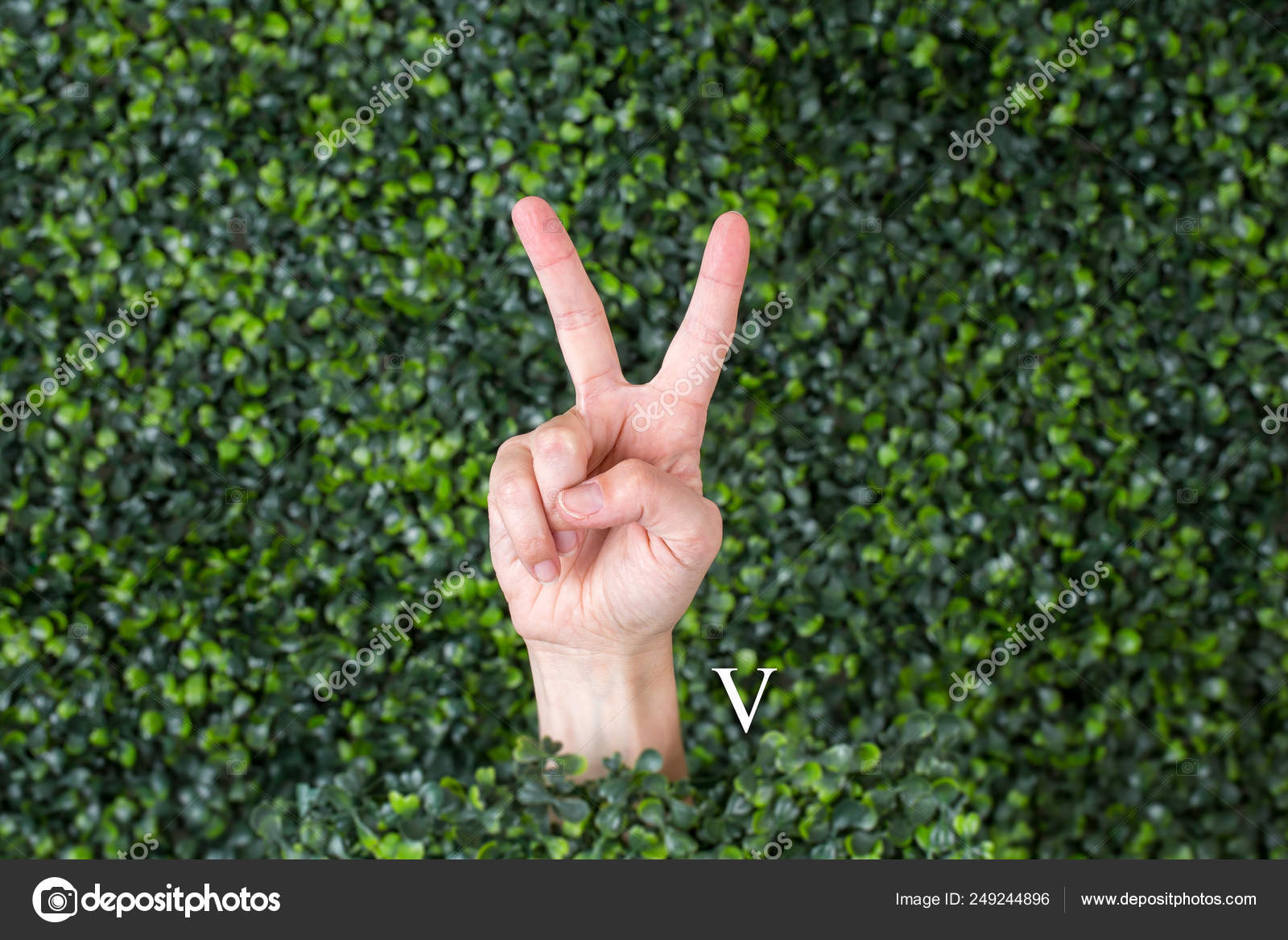 Sign Language Letter V Stock Photo by ©phase4studios 249244896
