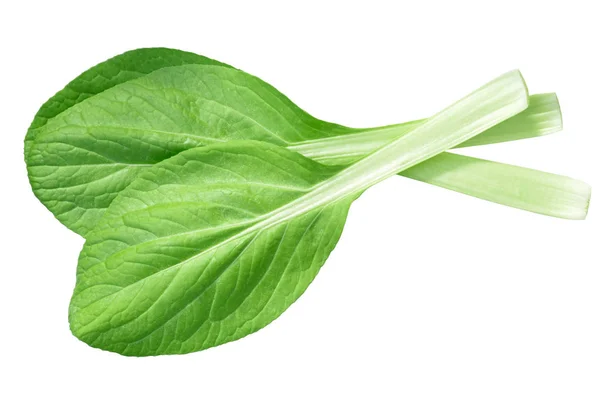 Pechay Plant Clipart