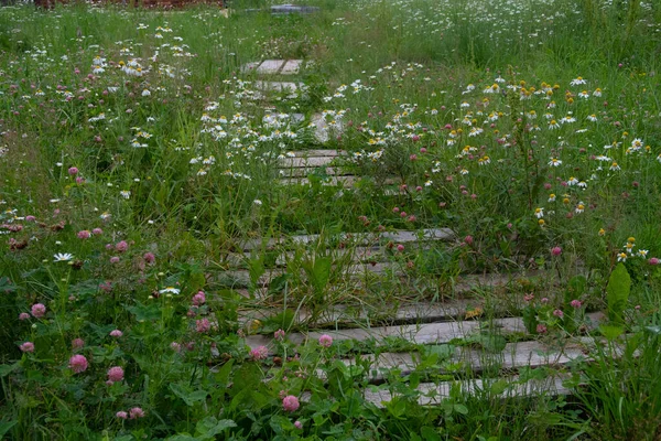 Pathway thru meadow Stock Photos, Royalty Free Pathway thru meadow ...