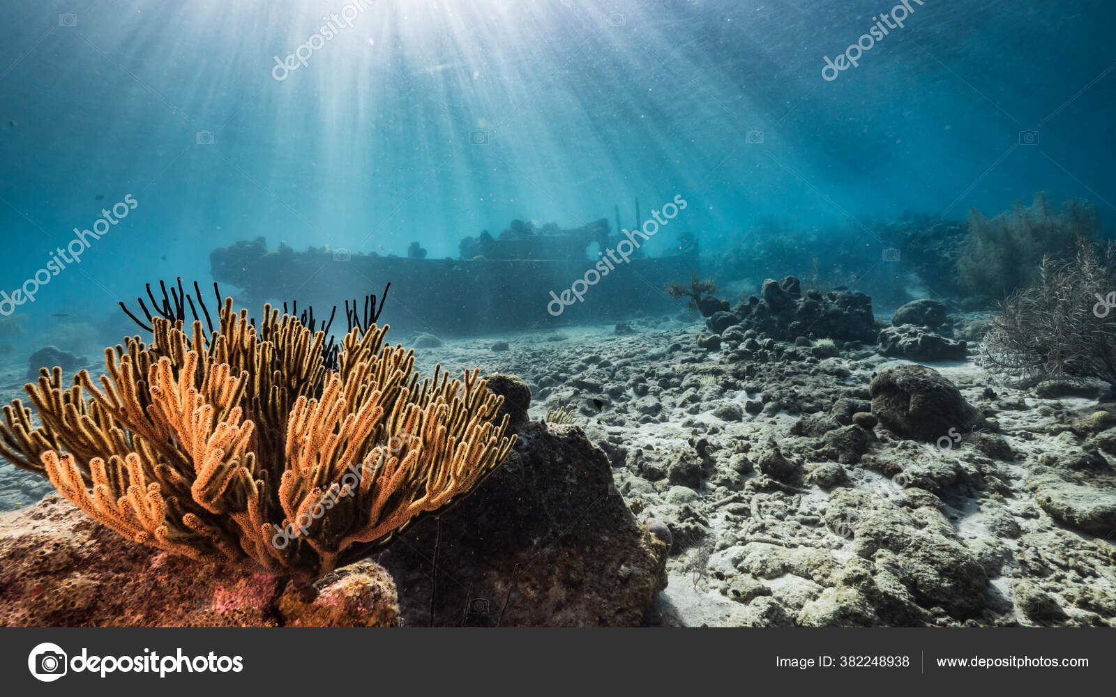 Ship Wreck Tugboat Shallow Water Coral Reef Caribbean Sea Curacao ⬇ ...