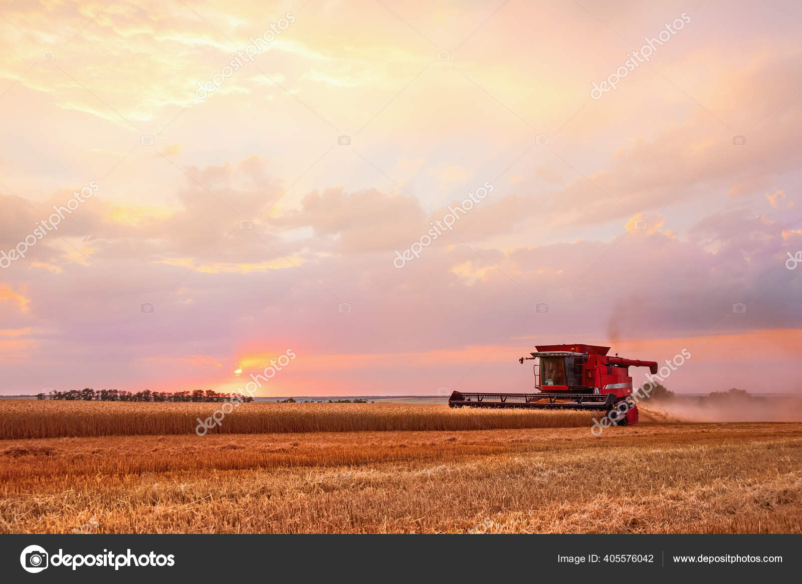 Combine Harvester Harvests Field Sunset Improved Bright Light Selective ...
