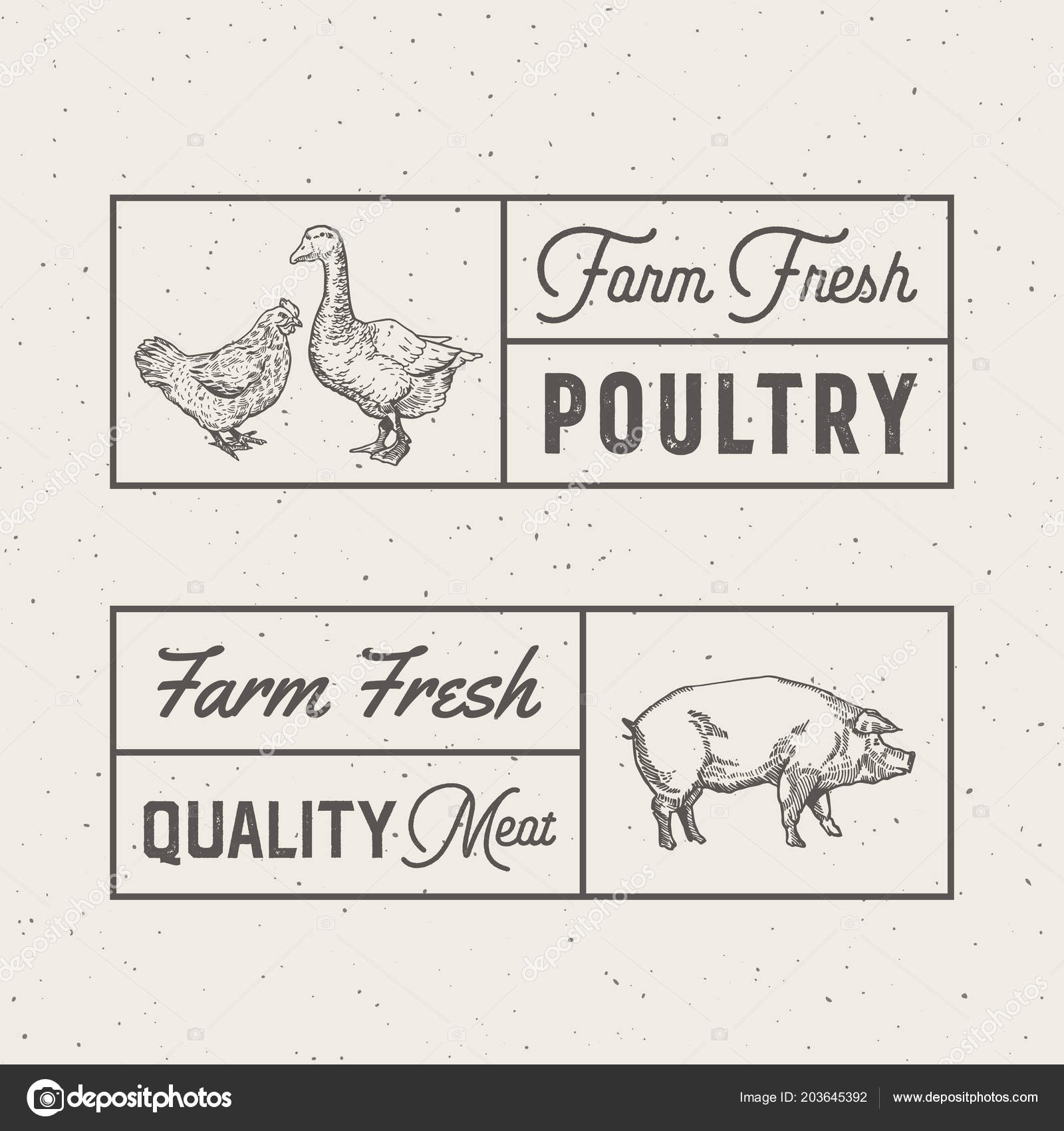 Farm Fresh Poultry and Meat Abstract Vector Signs, Symbols or Logo ...