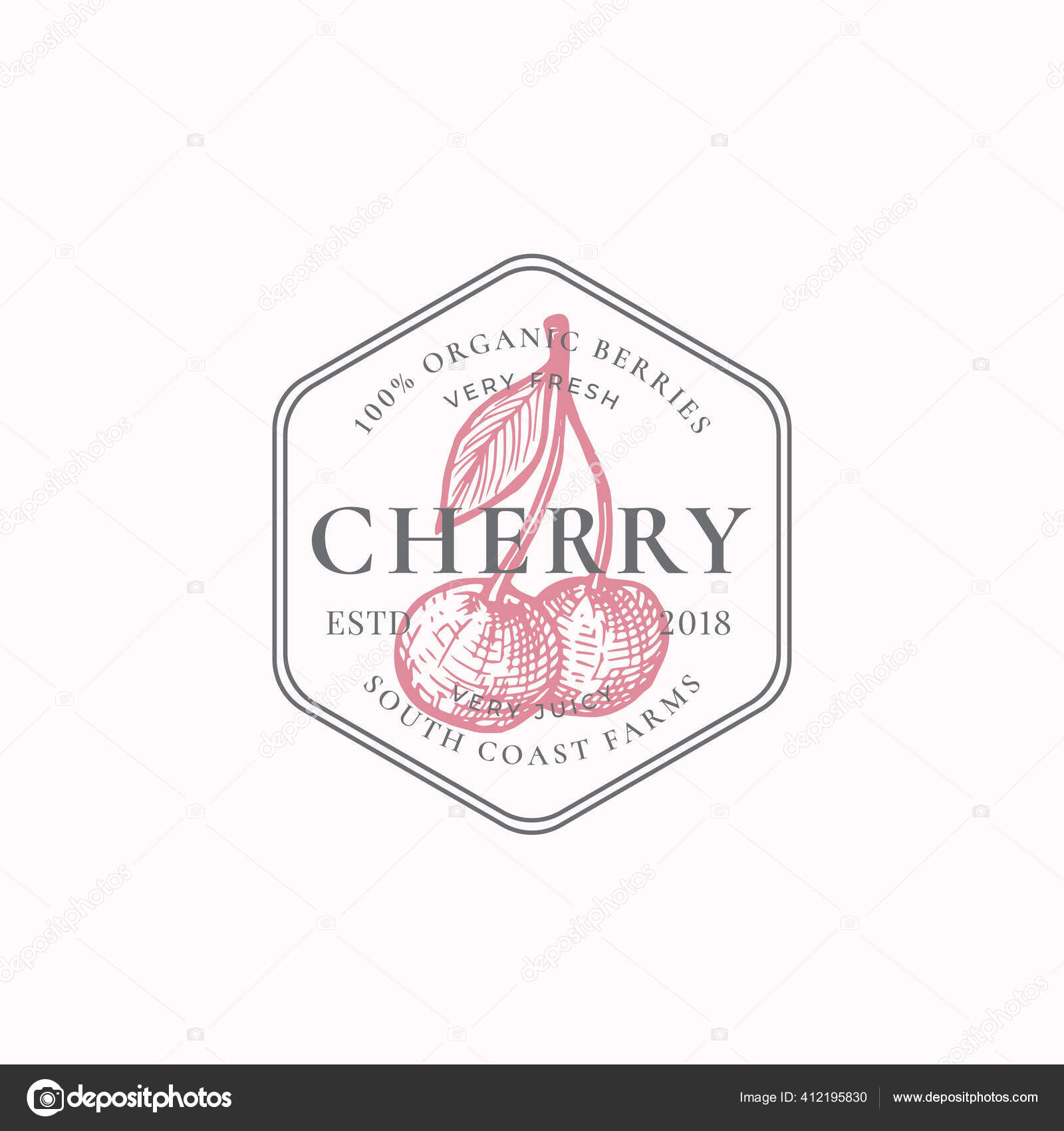 Cherry Farm Badge or Logo Template. Hand Drawn Berries Sketch with Leaf Retro Typography and ...
