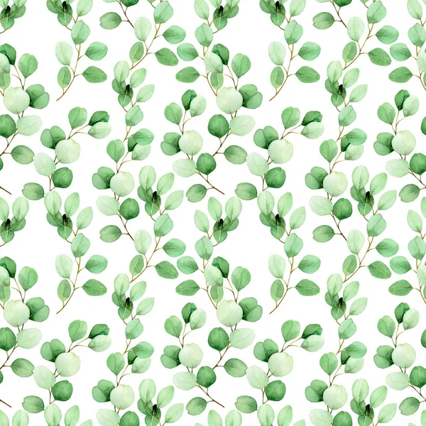 Eucalyptus pattern Stock Photos, Royalty Free Eucalyptus pattern Images ...