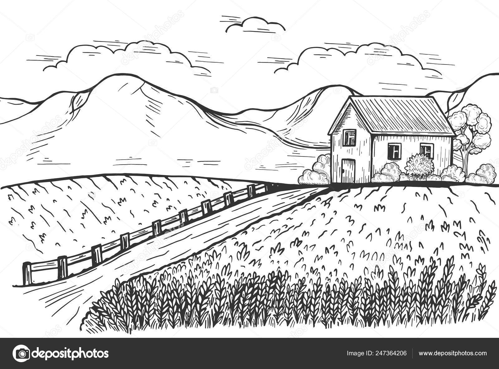 Vector Illustration Rural Landscape Homeward Road Roadside Fence Wheat ...
