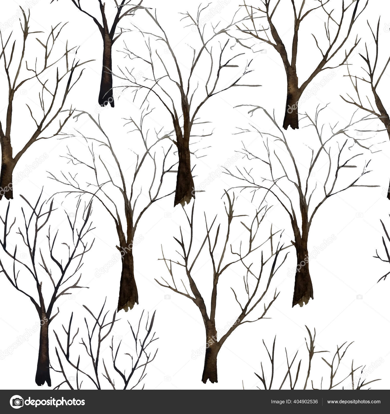 Brown Tree No Leaves