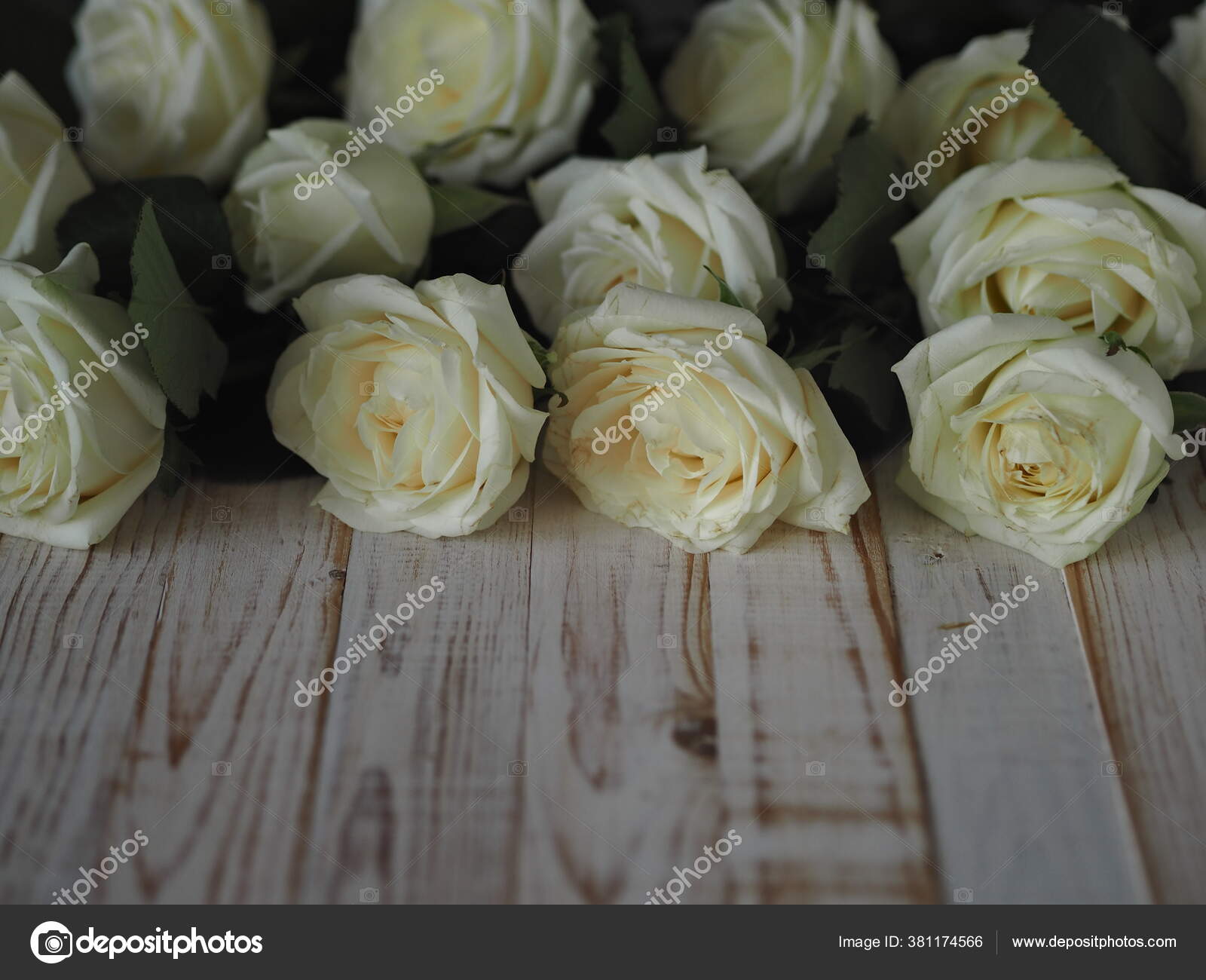White Roses Laid Out Front Light Wooden Decorative Background ...
