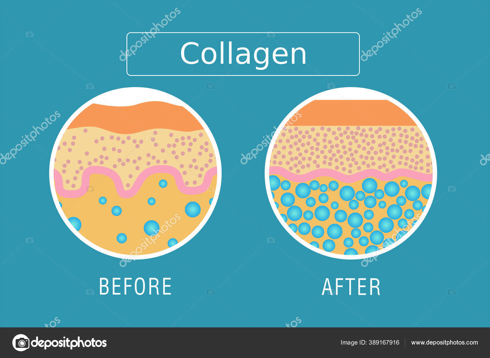 Collagen Protection Skin Vector Stock Vector by ©Chingcg 389167916