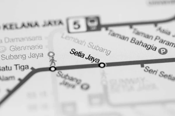 Setia Stock Photos, Royalty Free Setia Images | Depositphotos