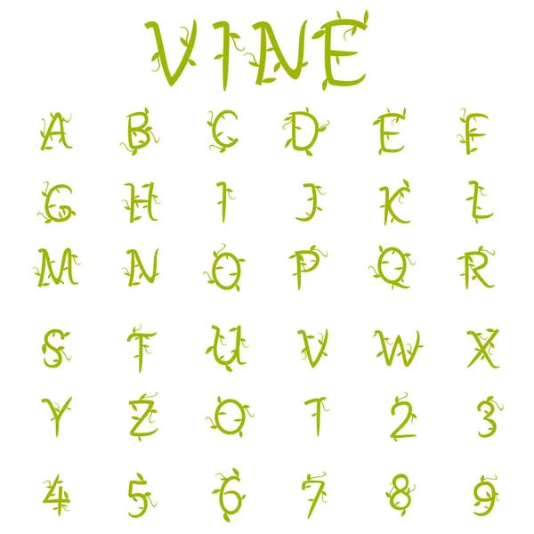 14,819,195 Alphabet vines Vector Images | Depositphotos