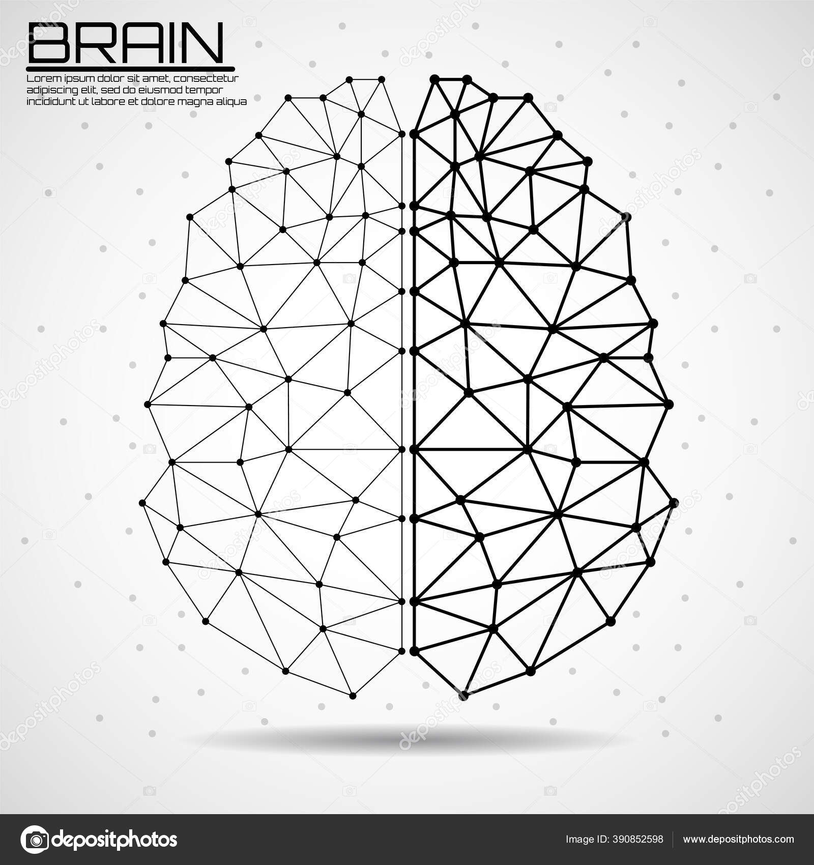 Abstract Human Brain Lines Dots Polygonal Wireframe Vector Illustration Stock Vector by ...