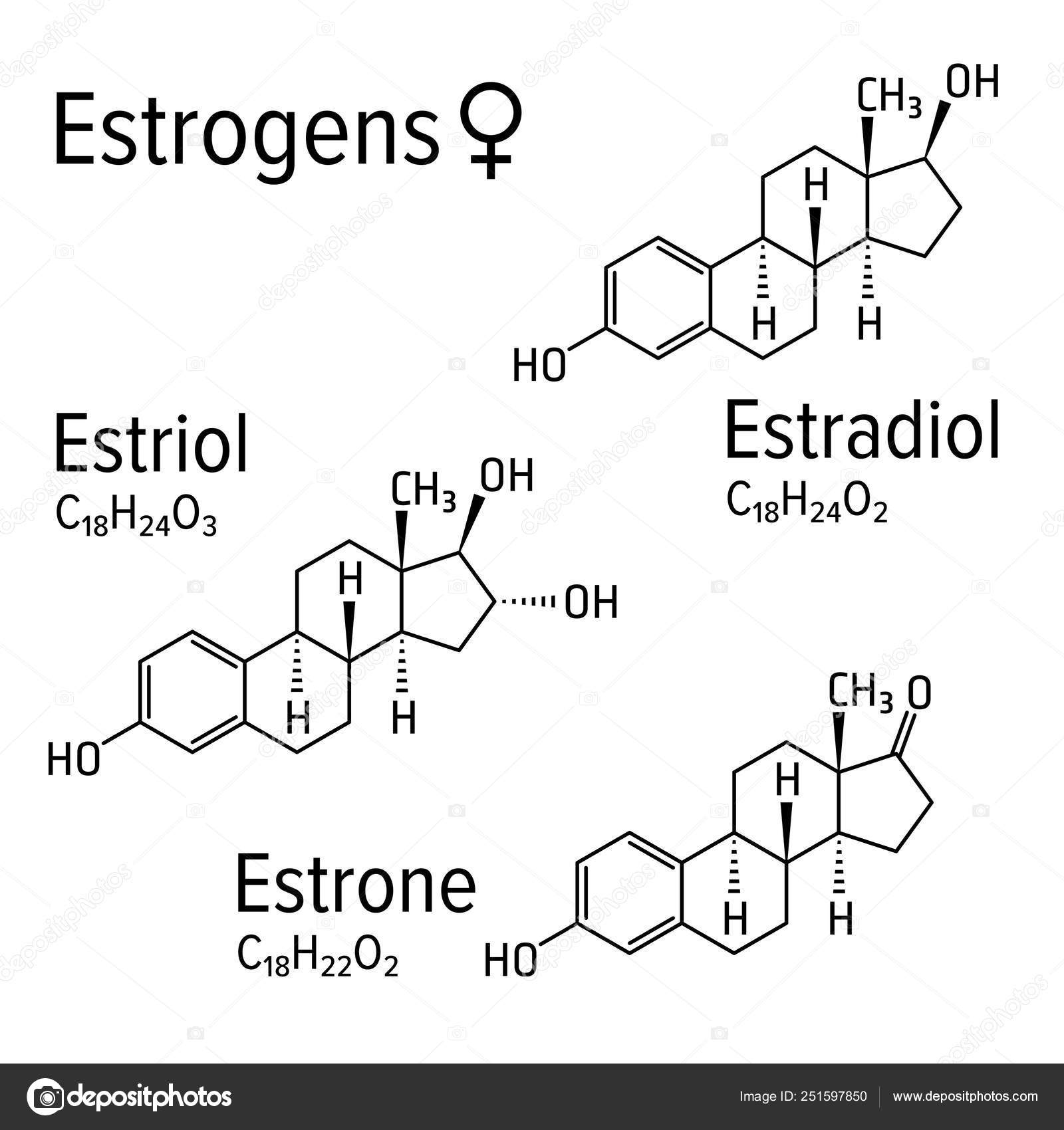 Estrogen Molecule Structure