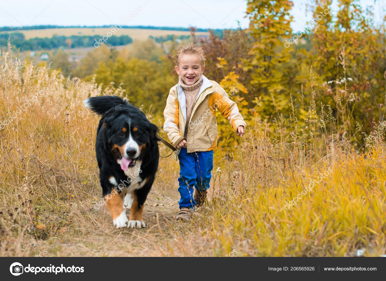 Boy Running Big Dog Walk Autumn Meadow Stock Photo by ©Cheese_78 206565926