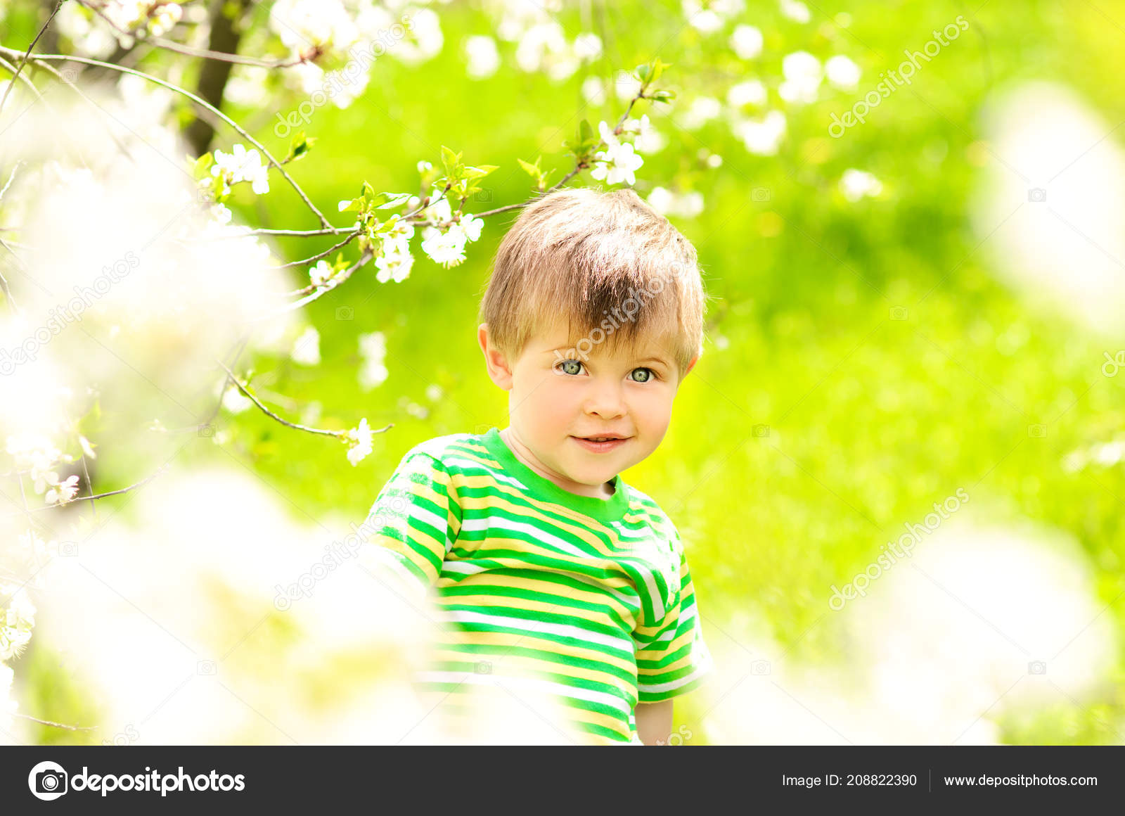 Little Boy Background Flowering Tree Spring Garden Green Grass — Stock ...