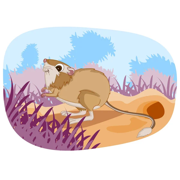 166 Kangaroo rat Vector Images | Depositphotos