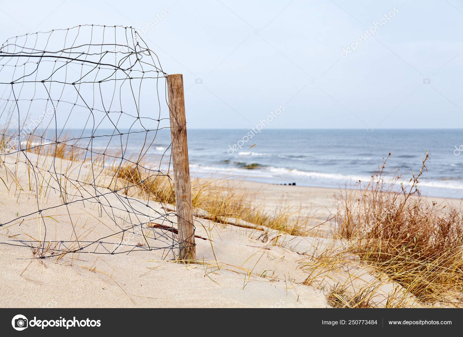 Beach Dune Fence