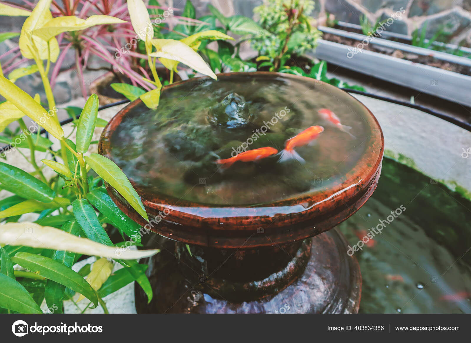 Small Fish Pond Yard — Stock Photo © rafhoerdeft.gmail.com #403834386
