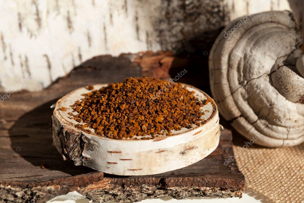 Polvo o champiñón de abedul Chaga seco triturado, primer plano. Se ...