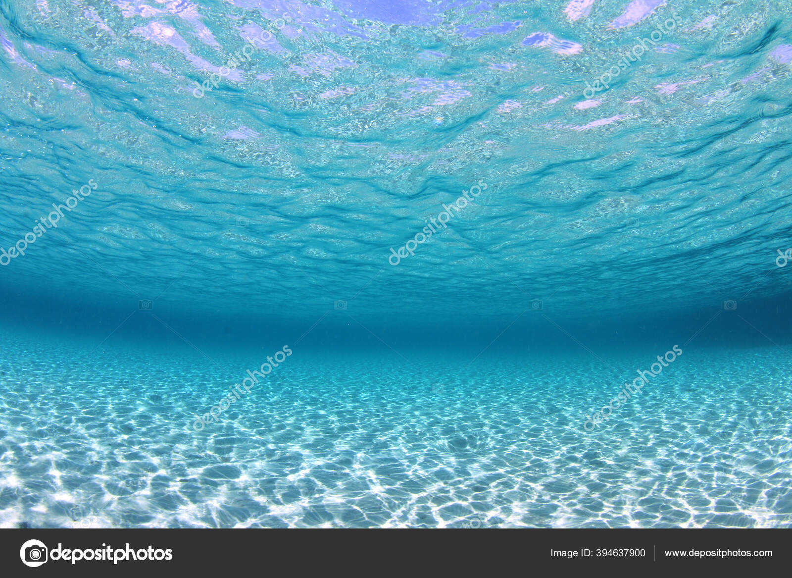 Underwater View Bottom Ocean — Stock Photo © richcarey #394637900