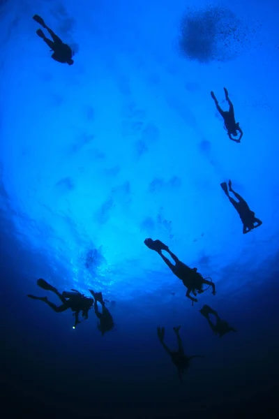 Underwater swimmers Stock Photos, Royalty Free Underwater swimmers ...