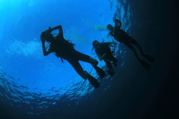 Malta divers Stock Photos, Royalty Free Malta divers Images | Depositphotos