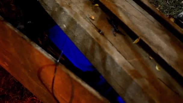 Front Side View Human Skull Zombie Man Horror Halloween Concept — Stock ...