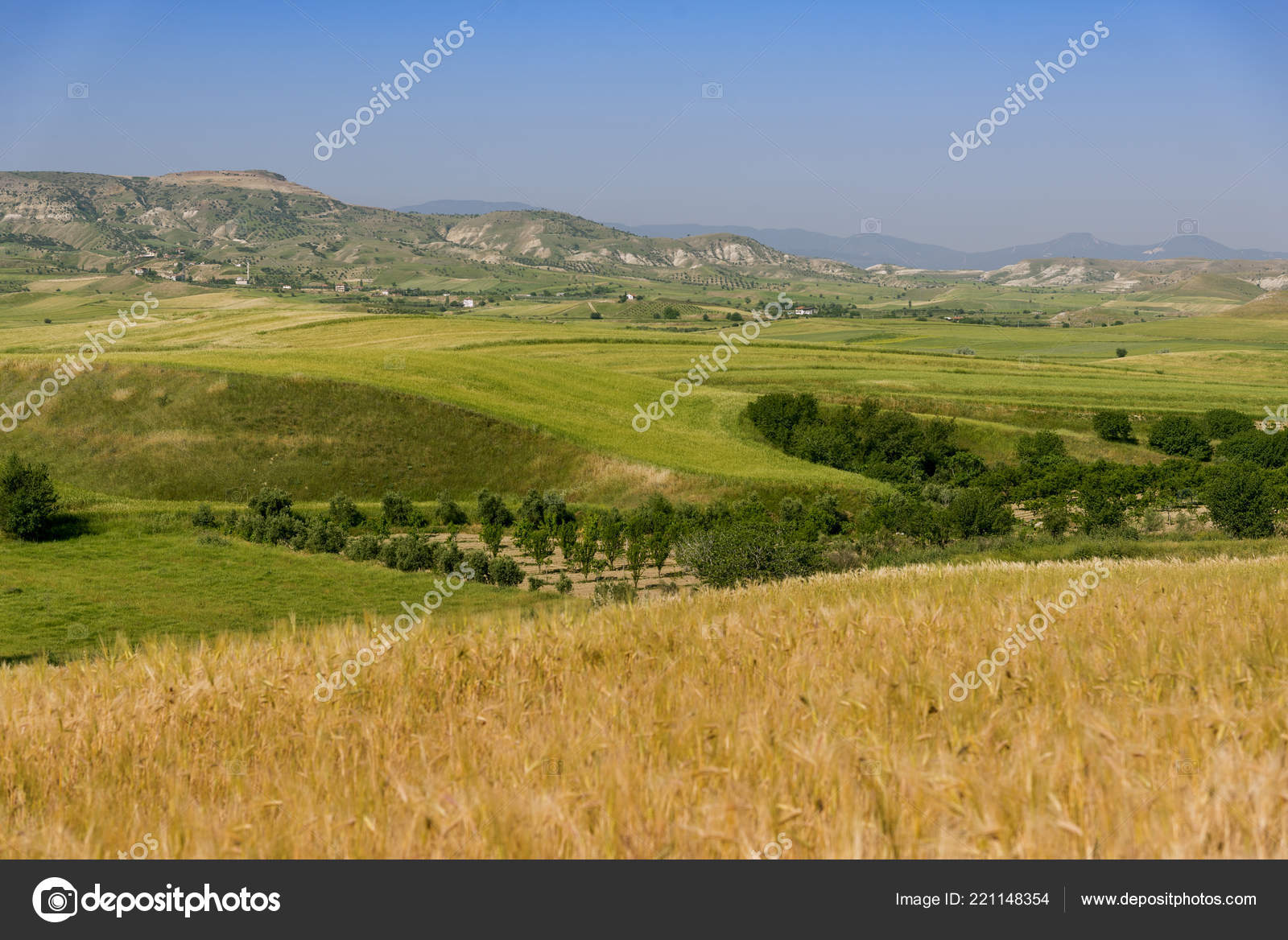 Cultivated Grains Landscape Hills Mountains Stock Photo by ©casarda ...