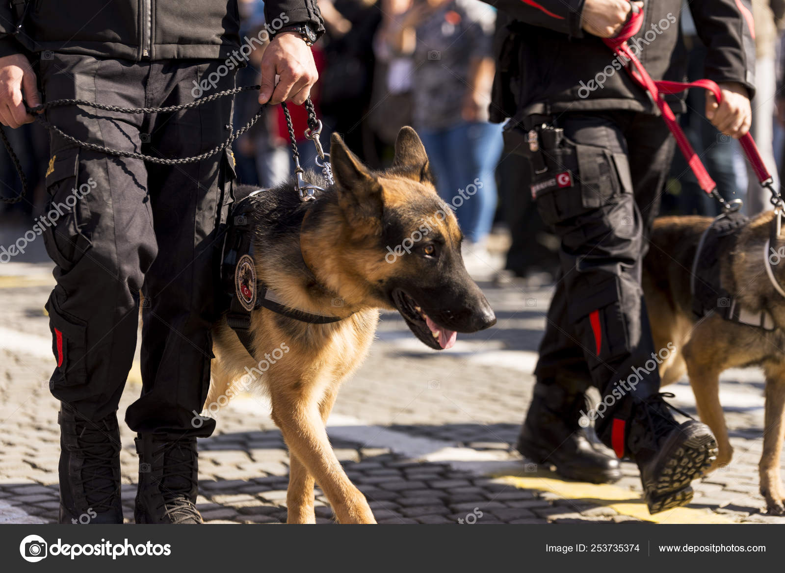 Are Police Dogs Officers