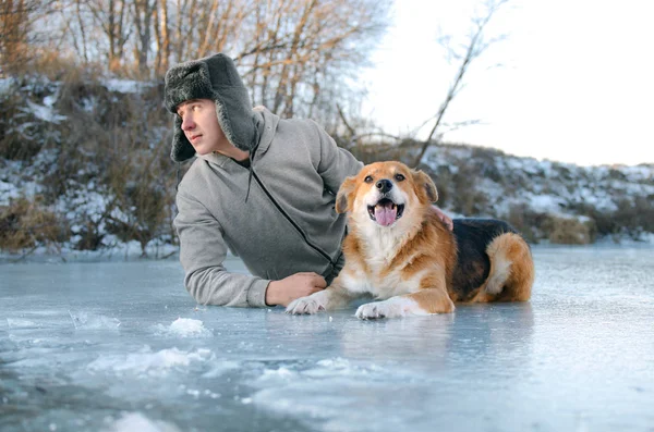 Dog ice pack Stock Photos, Royalty Free Dog ice pack Images | Depositphotos