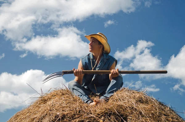 Boerderij werknemer Stock Photos, Royalty Free Boerderij werknemer ...