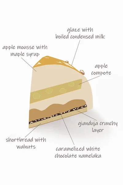 Detailed Schematic Diagram Cake Description Layers White Background ...