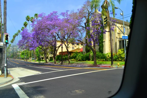 Lala kara fotos de stock, imágenes de Lala kara sin royalties ...