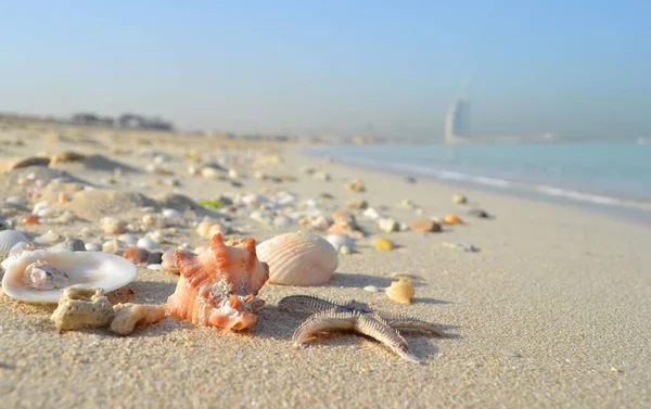 Dubai vista icônica da cidade Stock Photos, Royalty Free Dubai vista ...