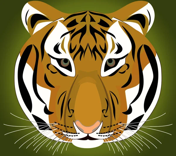 100,000 Tiger im zoo Vector Images | Depositphotos