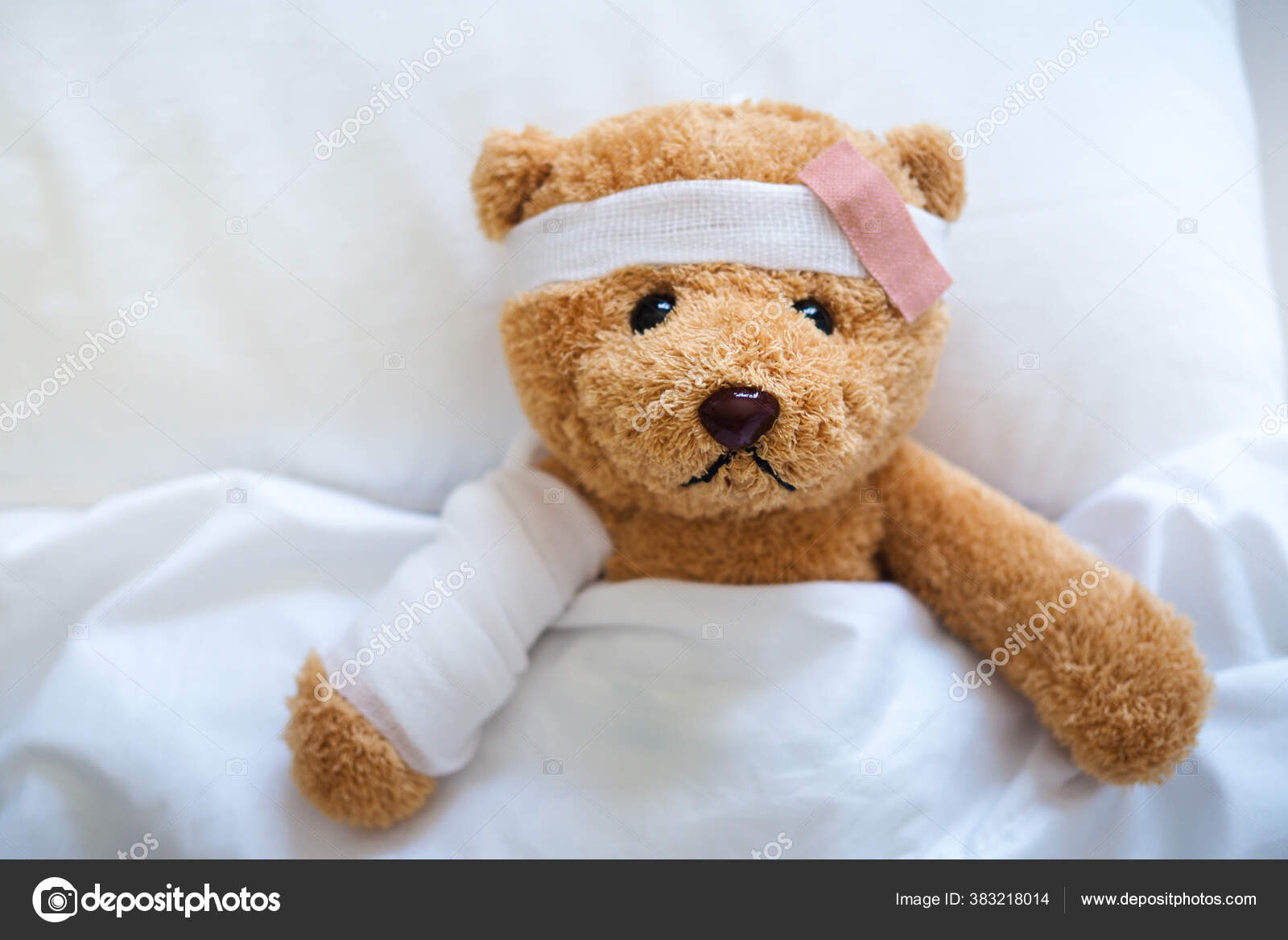 Destroyed Teddy Bear