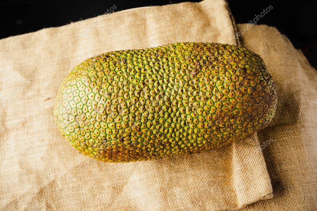 Artocarpus integer, comúnmente conocido como chempedak o cempedak, es ...