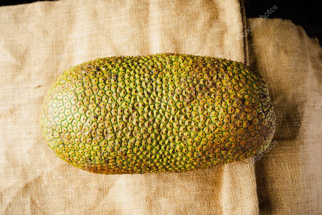 Artocarpus integer, comúnmente conocido como chempedak o cempedak, es ...